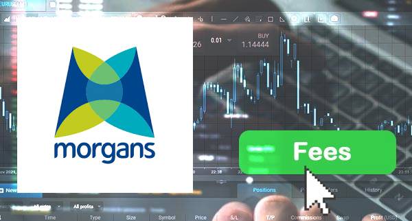 Morgans Financial Limited fees 2026